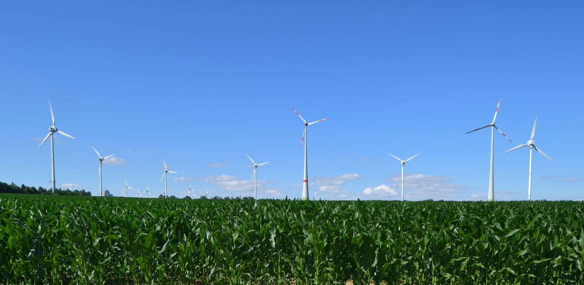 Trianel Onshore Windkraftwerke (TOW)